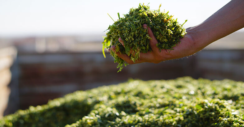 NIR process technology for forage and silage - Polytec