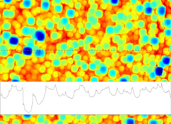 Surface roughness - profile vs areal 3D measurement - Polytec Surface roughness - profile vs areal 3D measurement - Polytec
